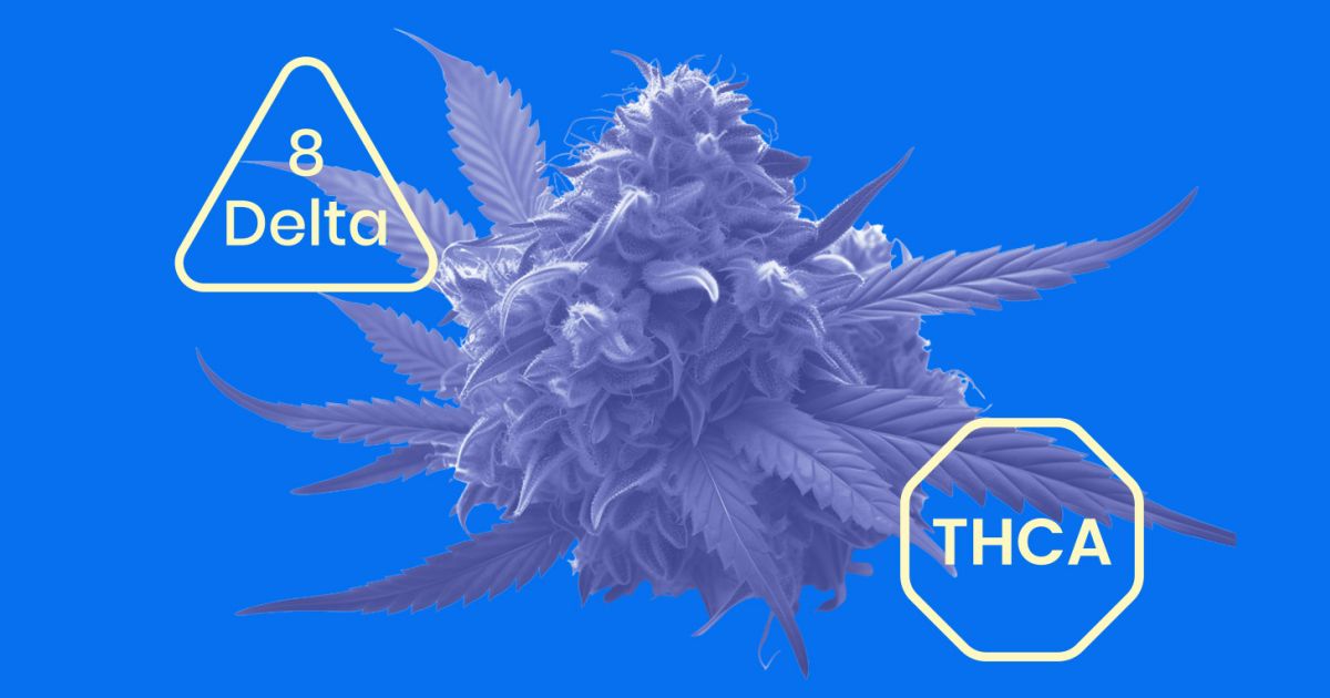 THCA vs Delta 8 Explained: Effects, Legality & More THCA vs Delta 8 Explained: Effects, Legality & More