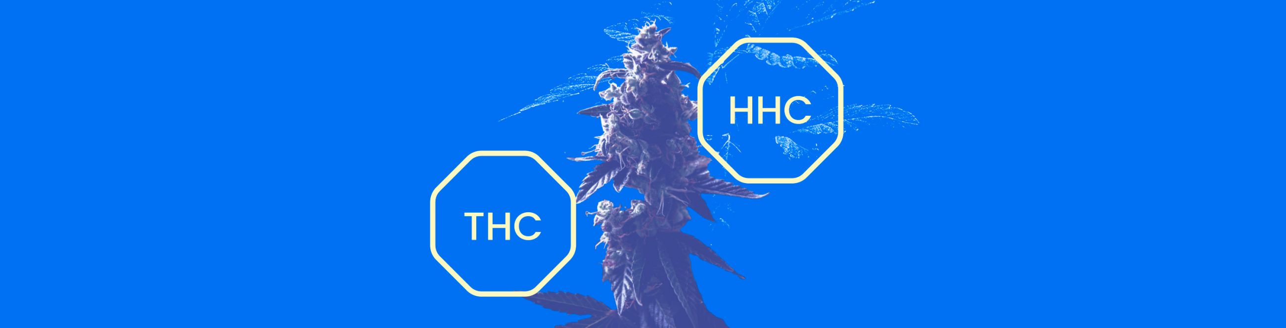 What Is HHC? Does HHC Get You High? HHC vs THC | CBD Mall